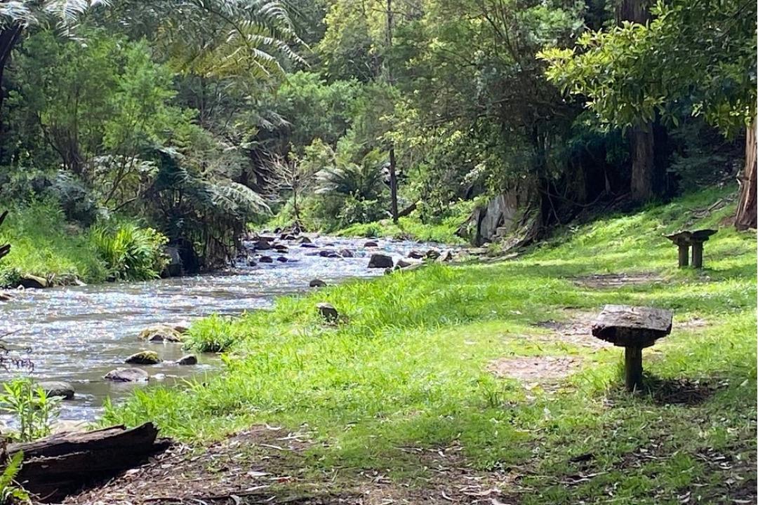 Tarra Valley Retreat Official Site - Local Attractions