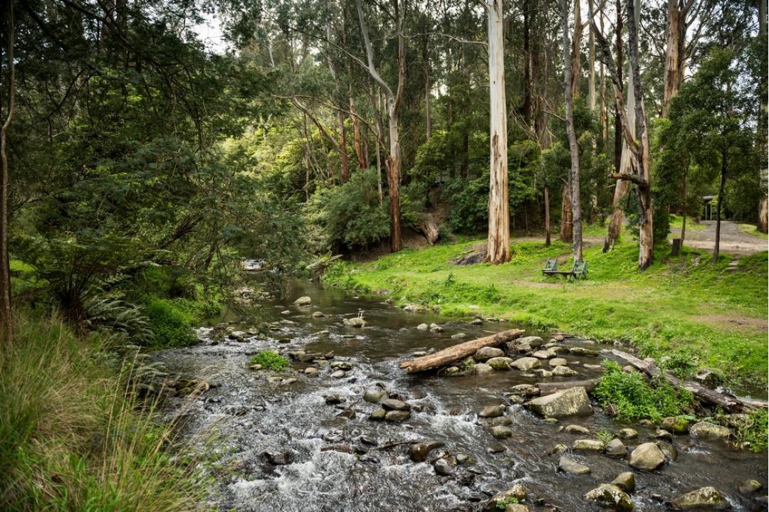 Tarra Valley Retreat Official Site - Local Attractions