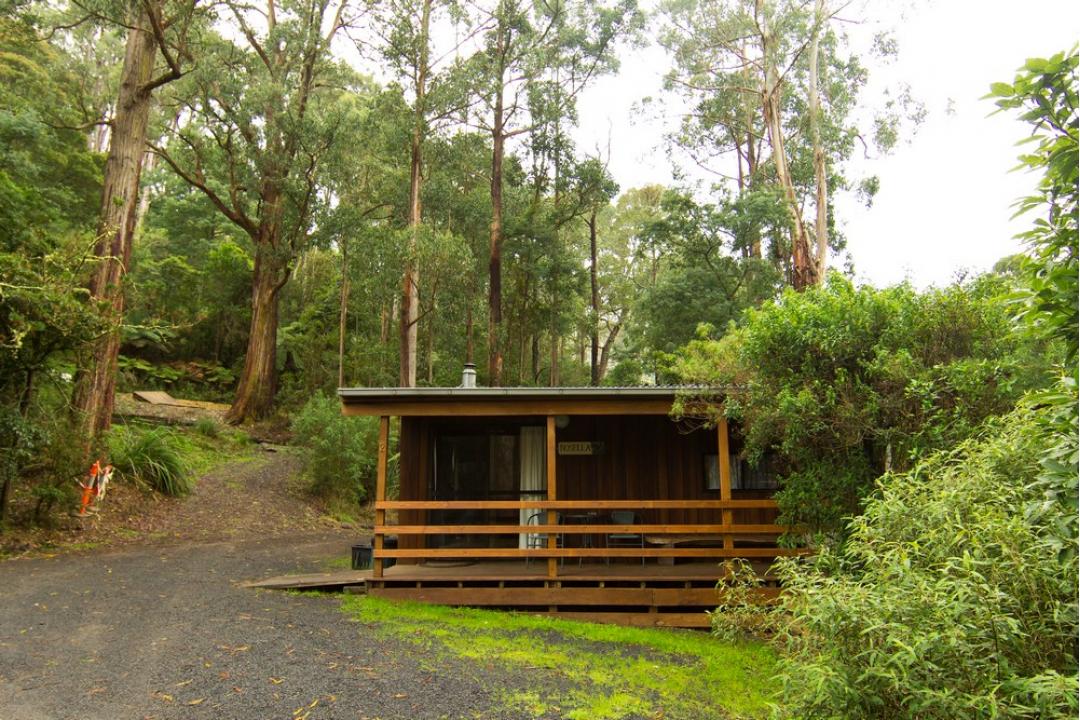 Tarra Valley Retreat Official Site - Cabins
