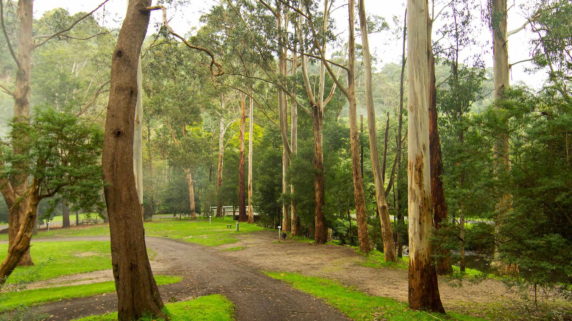 Tarra Valley Retreat Official Site