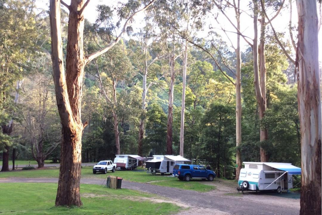 Tarra Valley Retreat Official Site - Sites