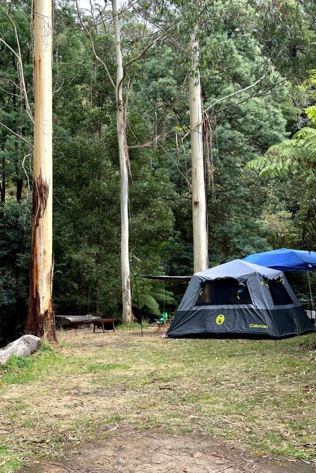 Tarra Valley Retreat Official Site - Sites