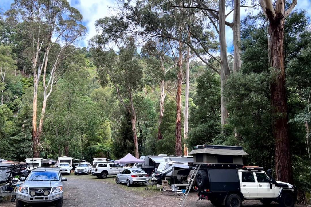 Tarra Valley Retreat Official Site - Sites