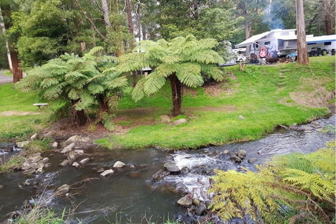 Tarra Valley Retreat Official Site - Sites